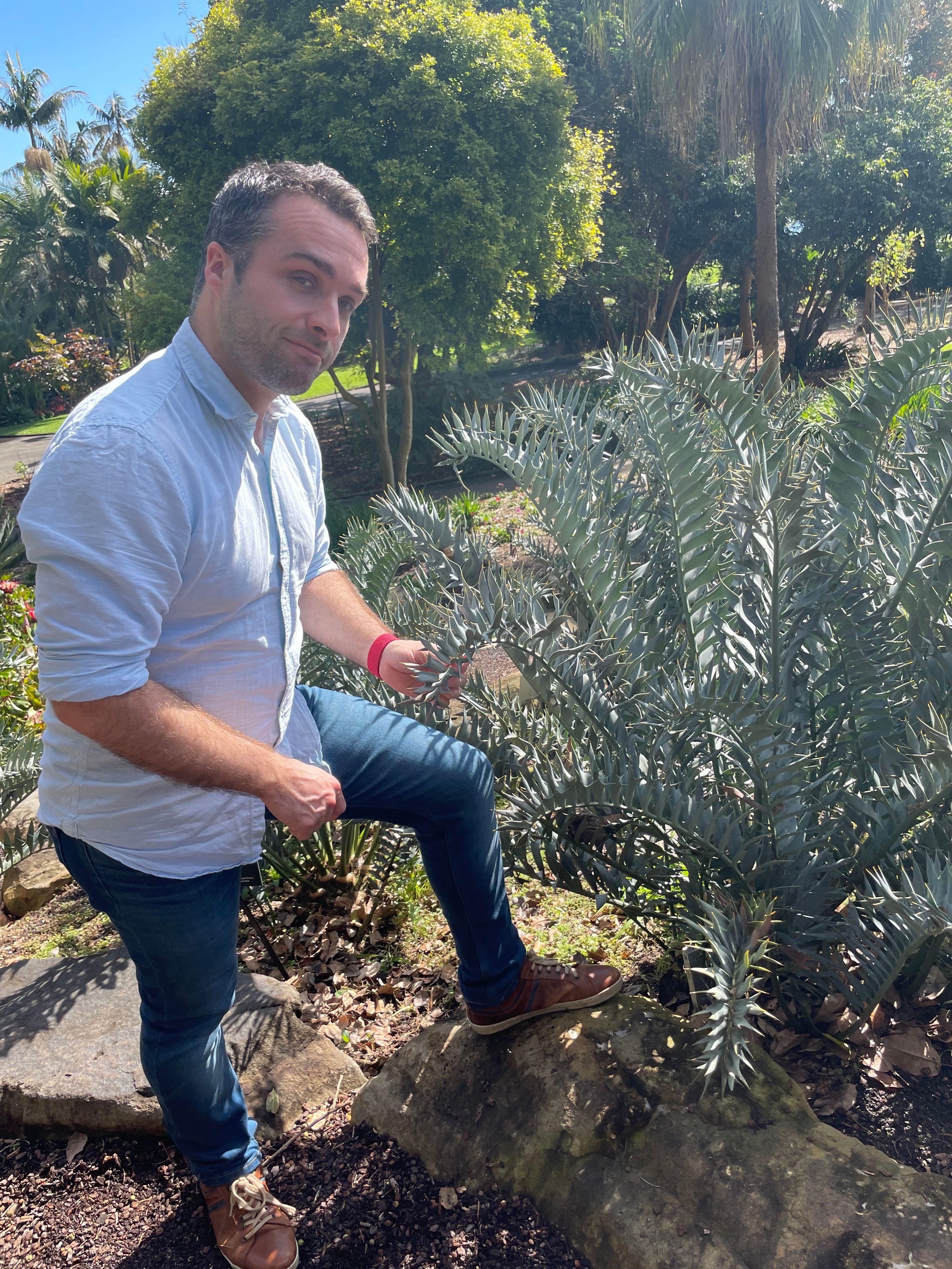 Listen to Dr James Clugston talk about cycads with Weekend Mornings ...