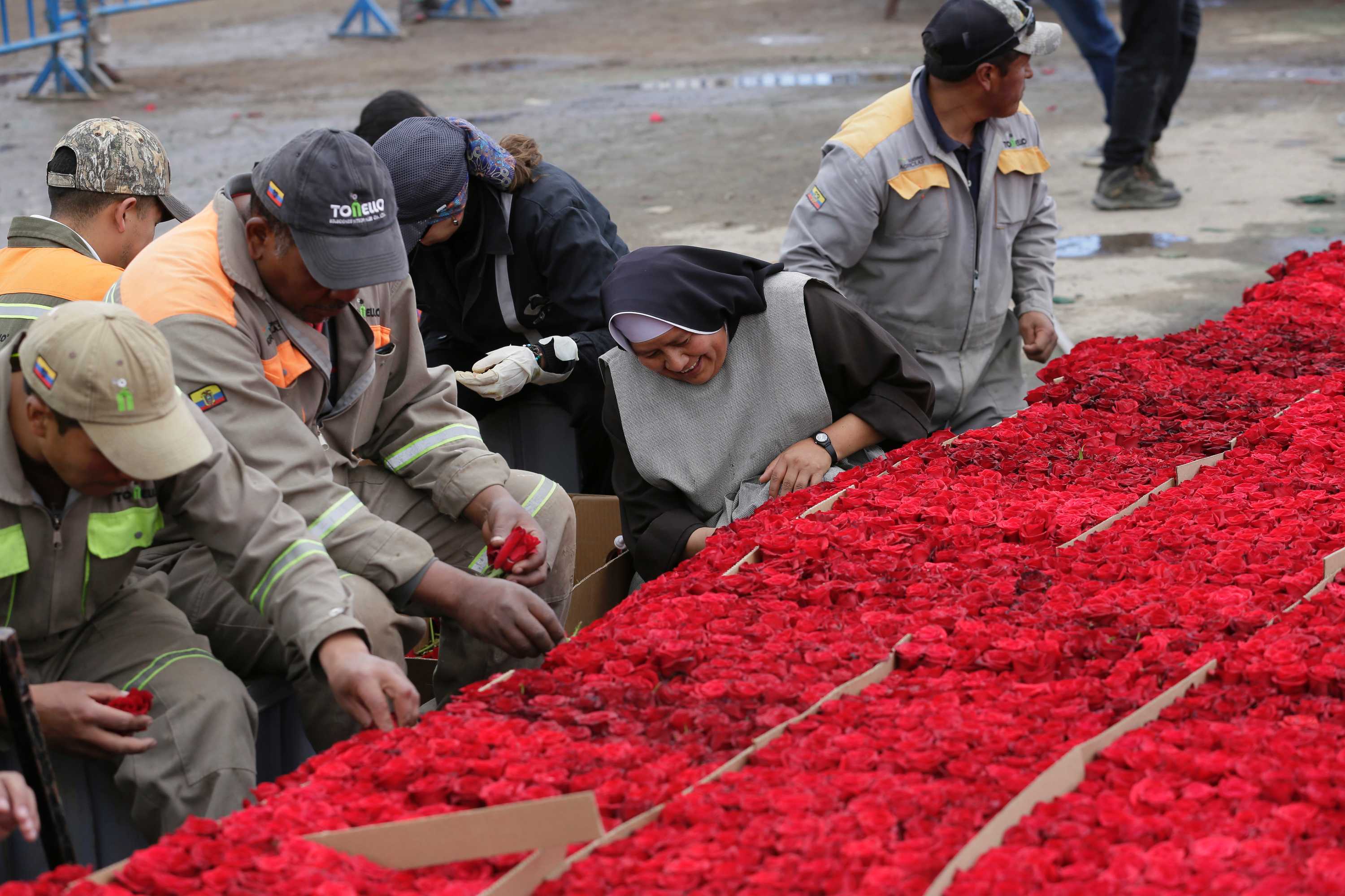 Ecuador shows world where 'the most beautiful roses' come from by ...