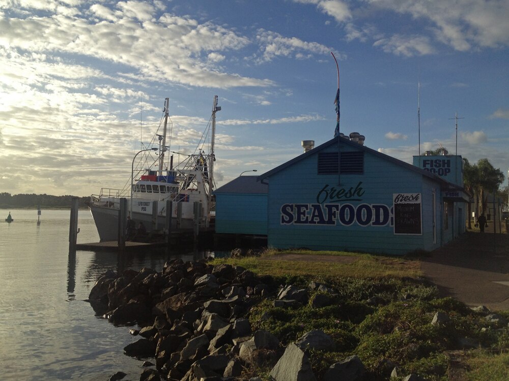 Fishing co-op could face closure - ABC News