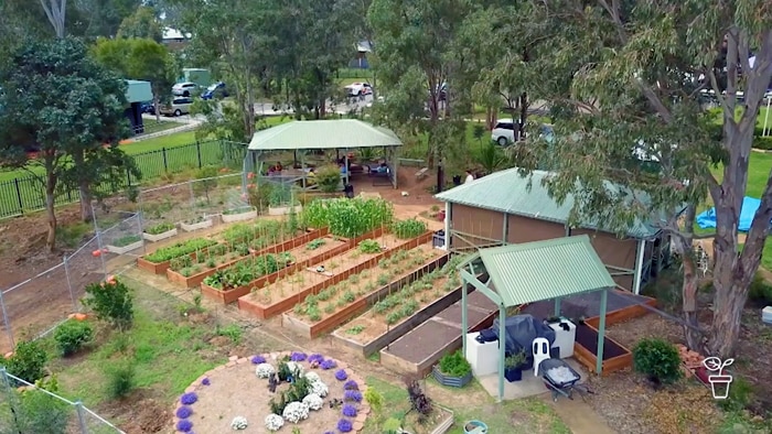Community Caring - Gardening Australia