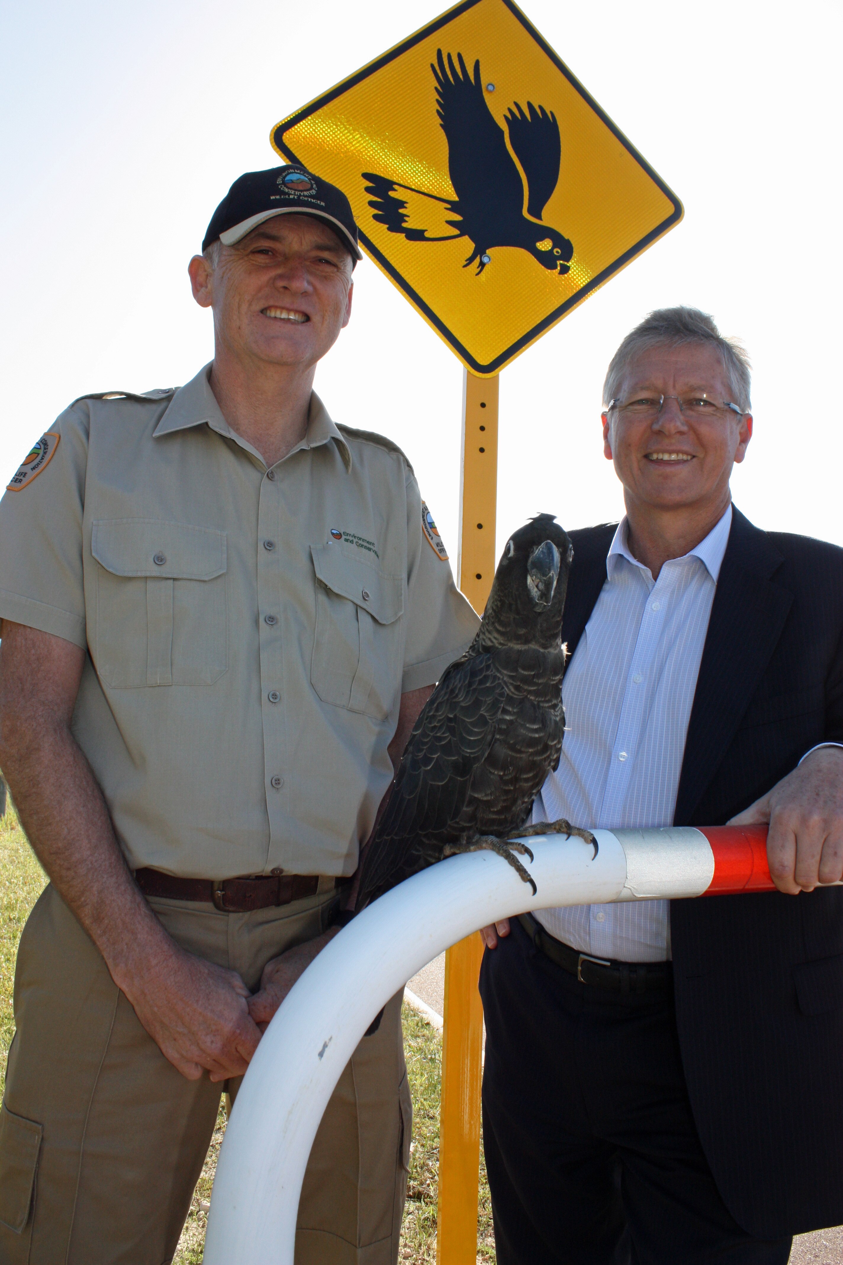 New signs to protect black cockatoos - ABC News