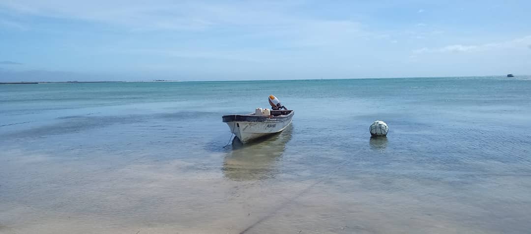 Eight projects to premier at inaugural Climate Story Lab Pacific - ABC ...