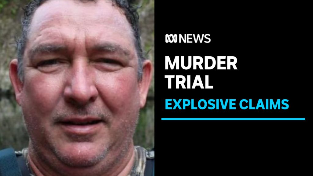 Lawyers outline cases in trial of Greg Lynn - ABC News