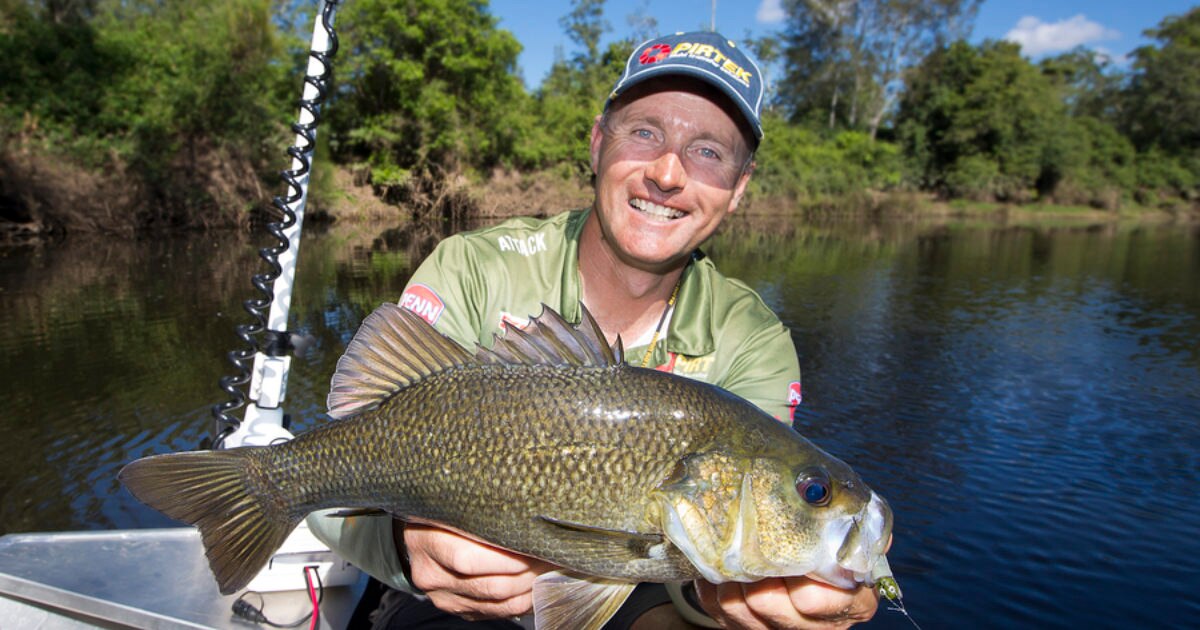 The Big Fish - ABC