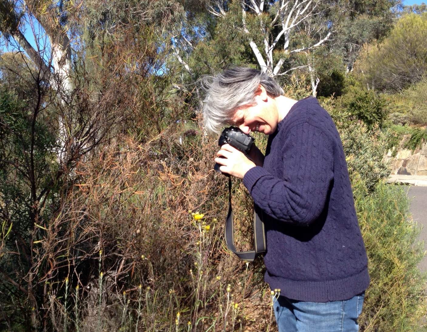 Botanist Meredith Cosgrove's photographic native plant guide encourages ...