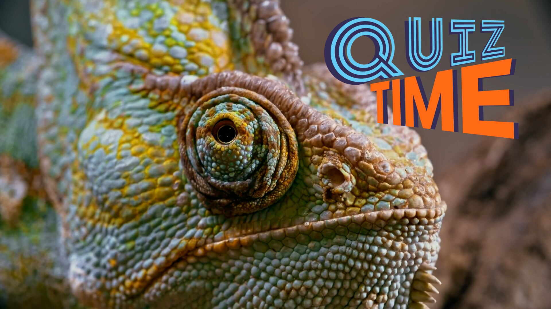 Science Week Special (Ep 22), 2024 - Behind The News