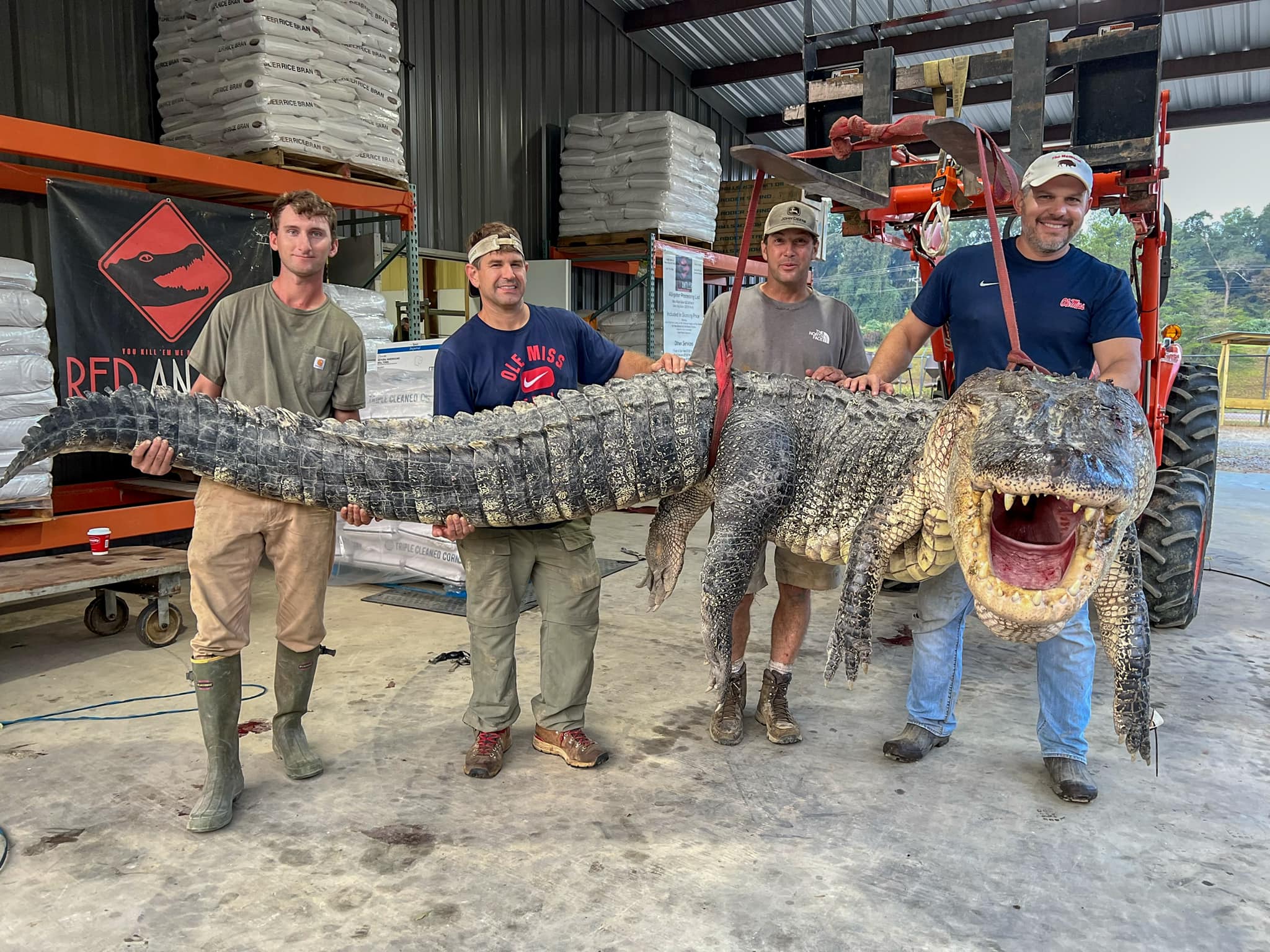Mississippi hunters catch record-breaking 364kg alligator - ABC News