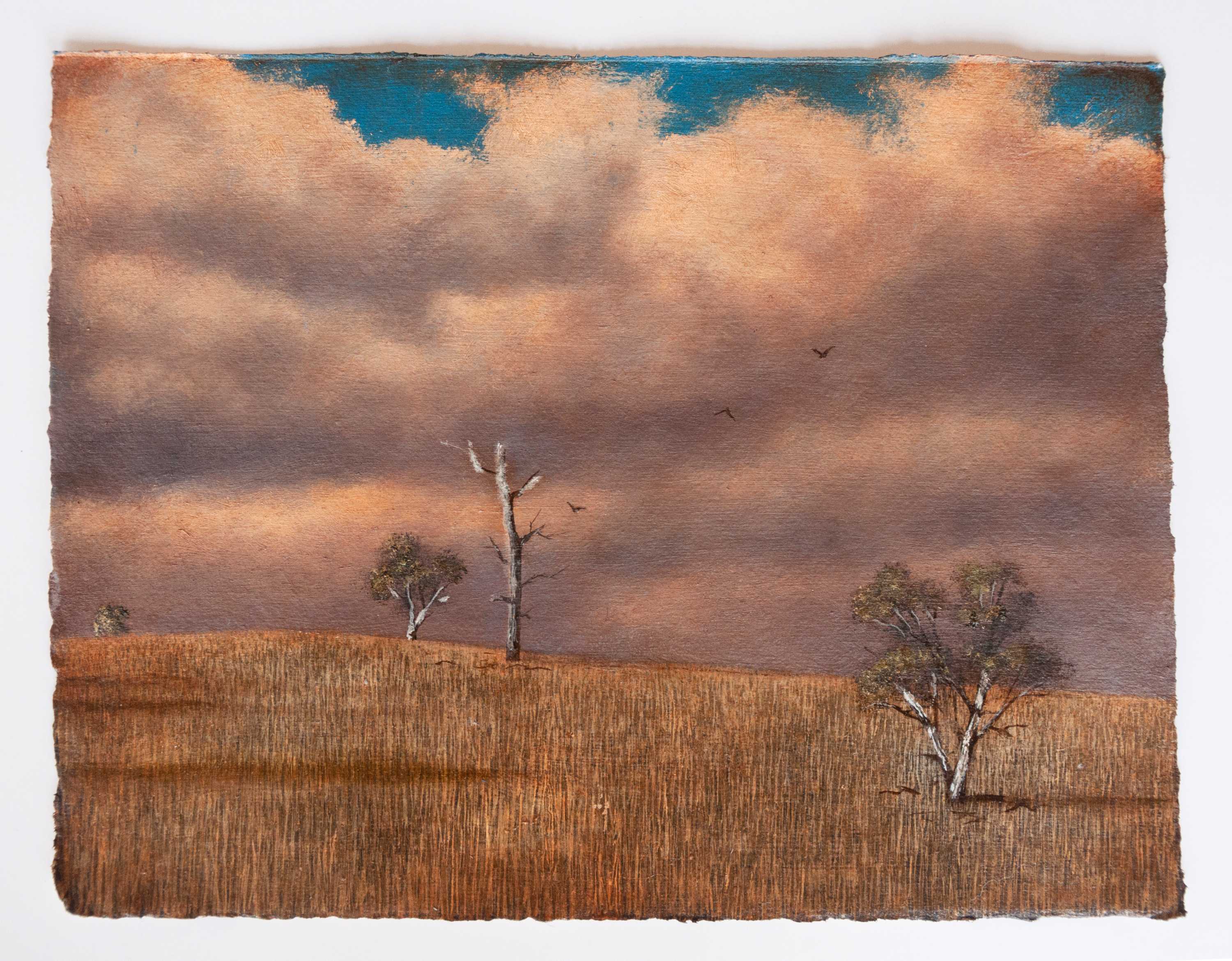 Prominent artist and regular Archibald finalist Jason Benjamin found ...