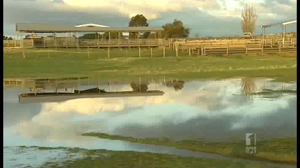 Historians head to Connorville farm - ABC News