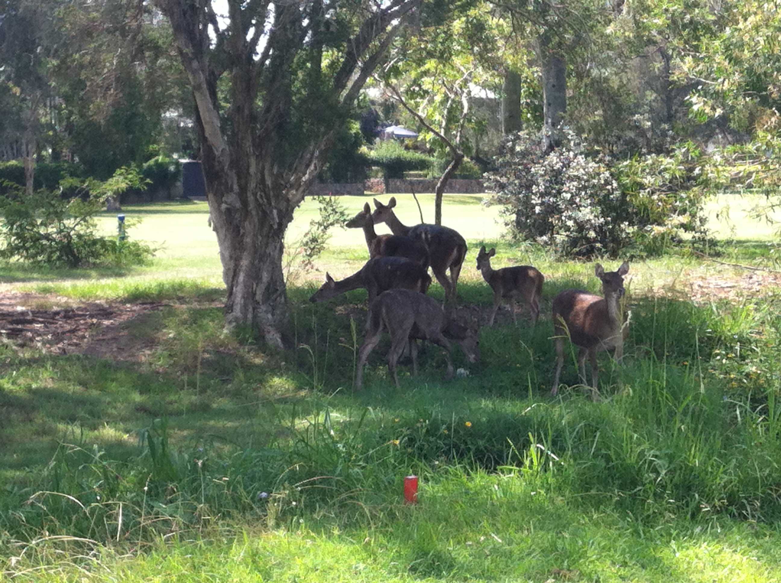 West Brisbane residents call on Queensland Government to do more to ...