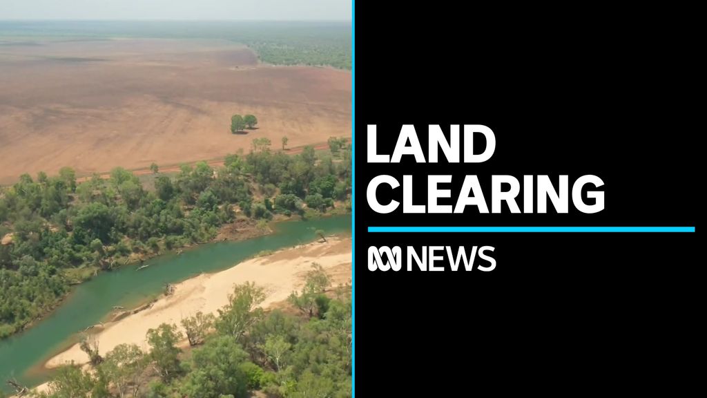 Investigation uncovers evidence of land clearing without permit for cotton industry - ABC News