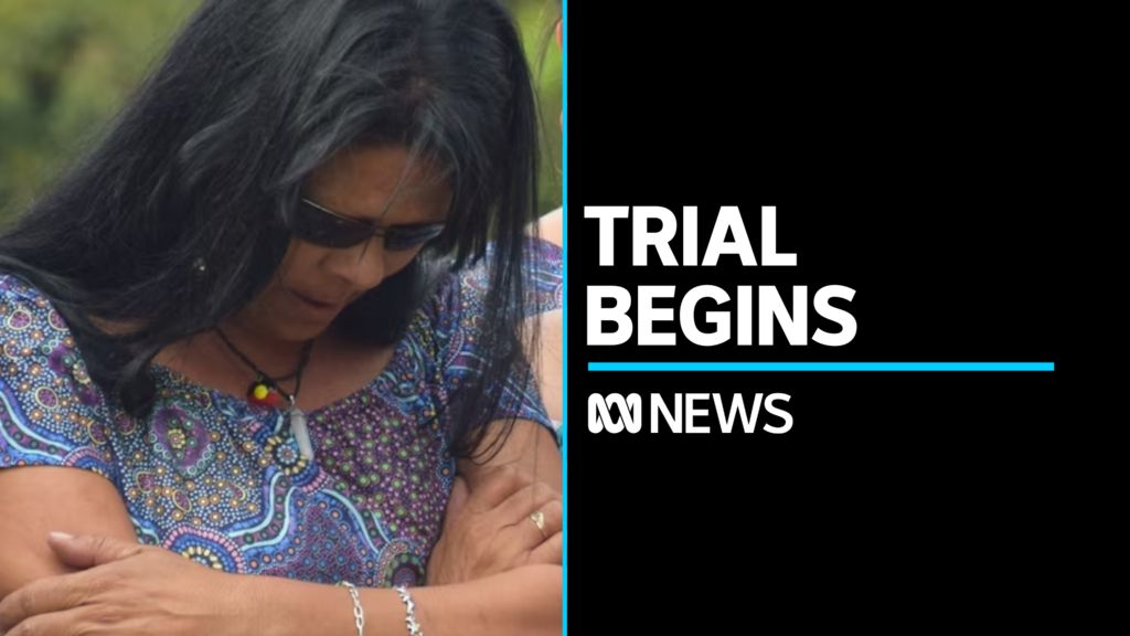 The trial of a mum charged with the manslaughter of two young boys ...