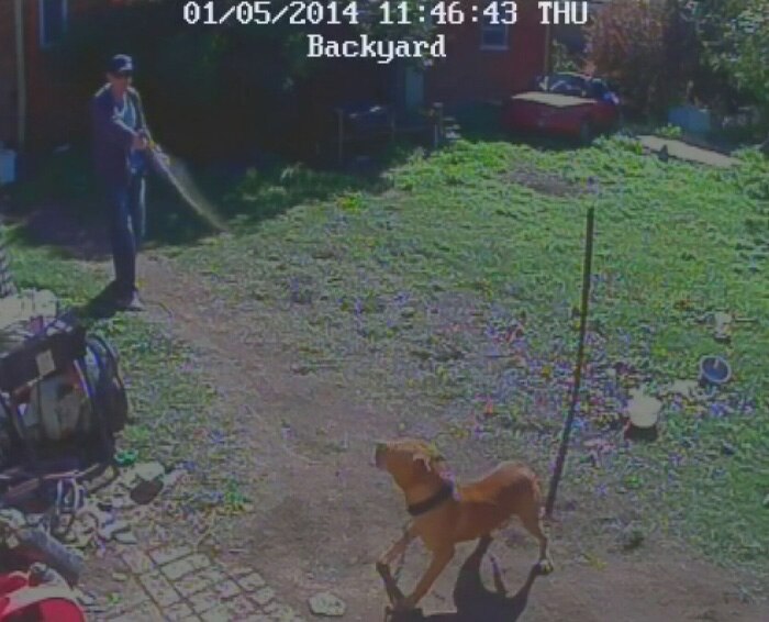 ACT police urged to release report on officer capsicum spraying a ...