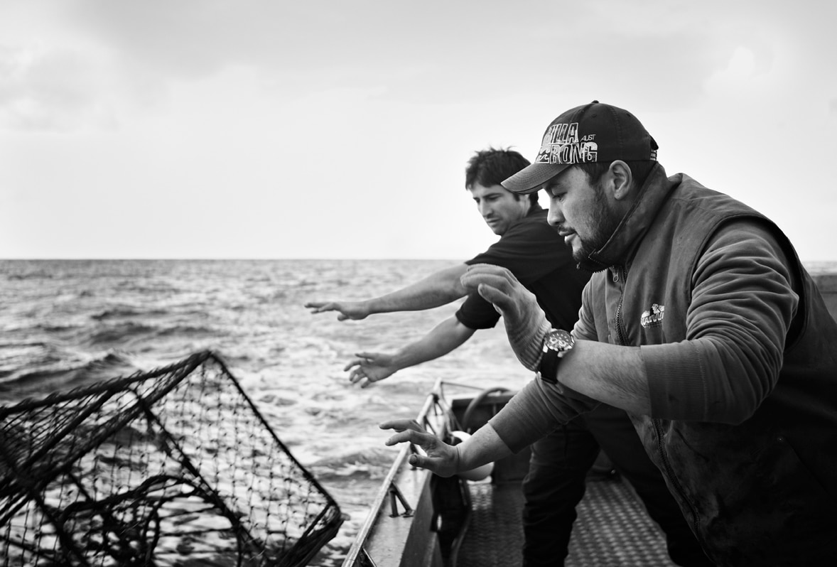 Chatham Islands blue cod - ABC Radio National