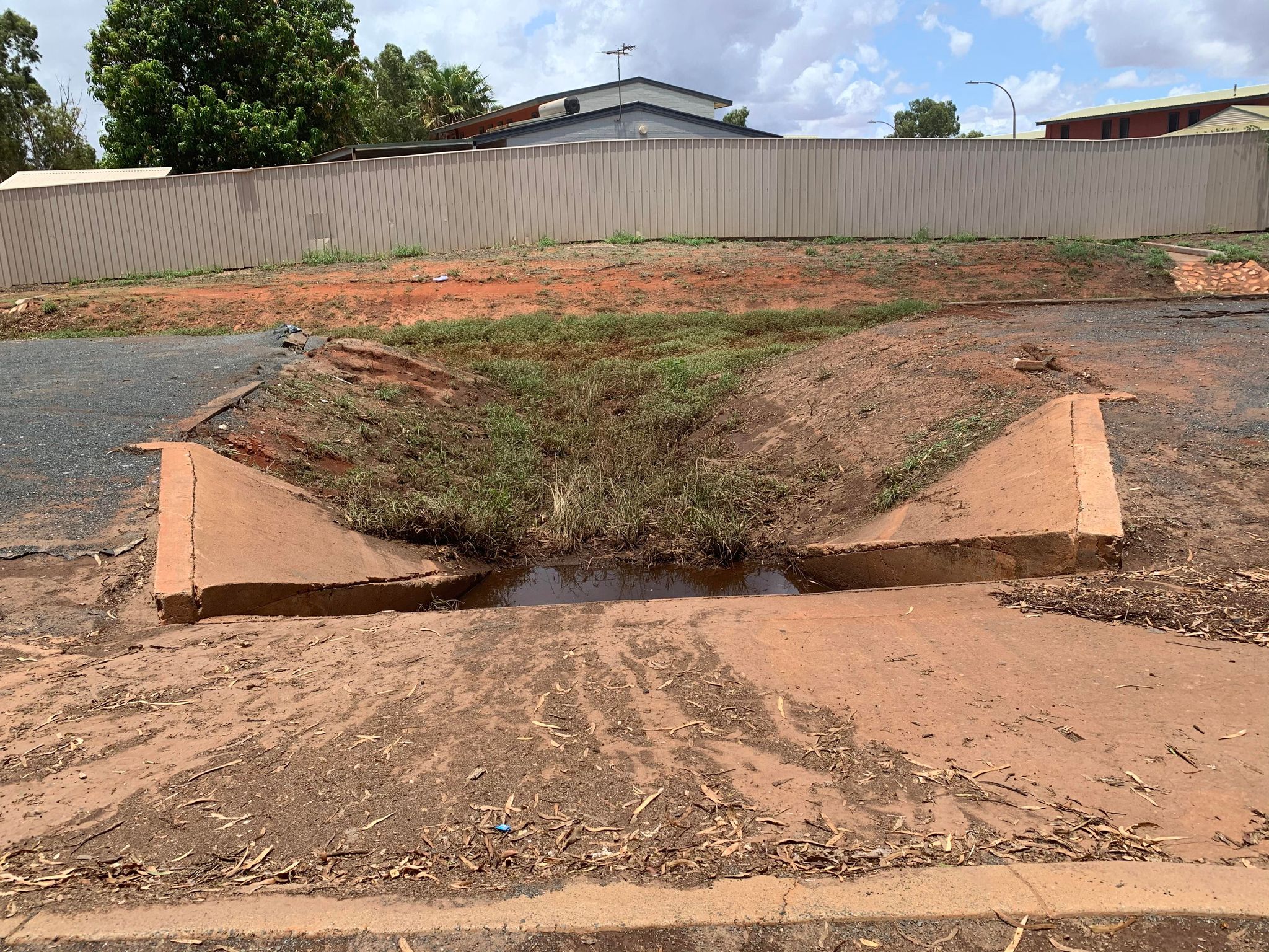 Pilbara residents and pets welcome heavy rainfall to end region's dry ...