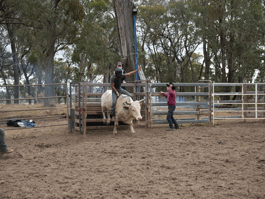 The Korean Cowboy - ABC Asia