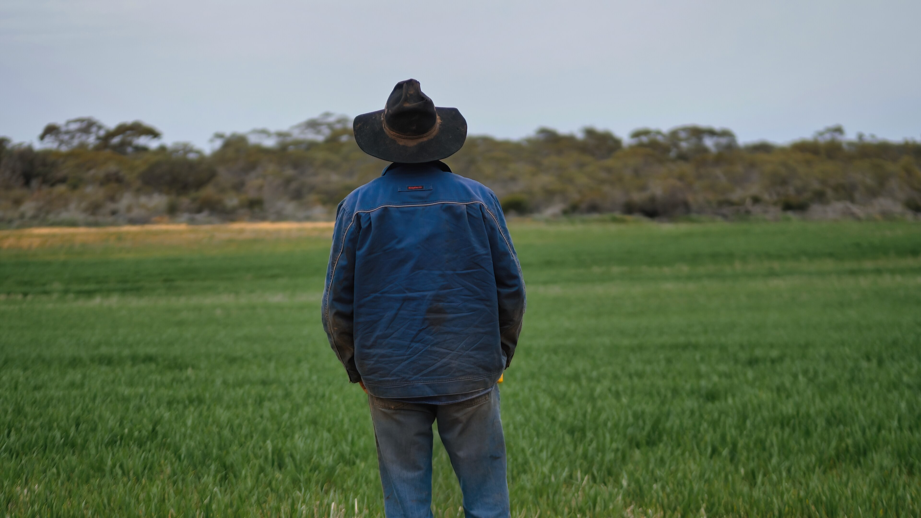 Men's groups boosting rural mental health - ABC News