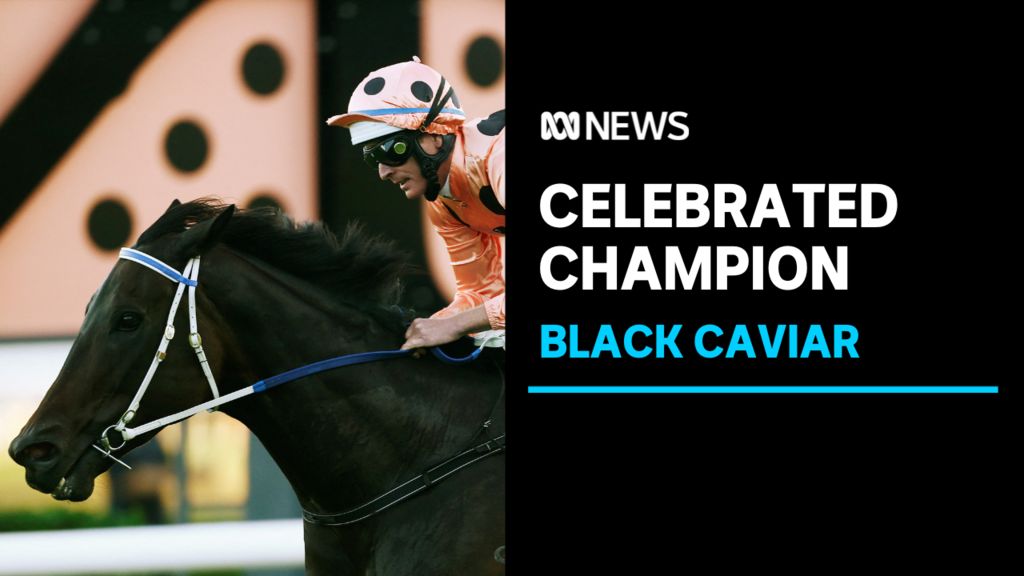 Black Caviar celebrated and remembered - ABC News