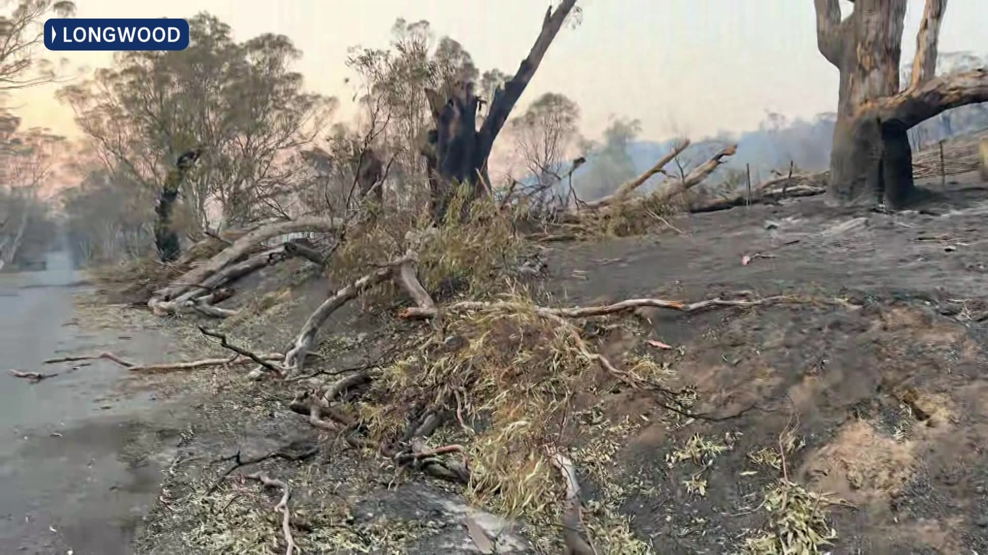 Bushfires leave trail of destruction in northern Victoria town - ABC News