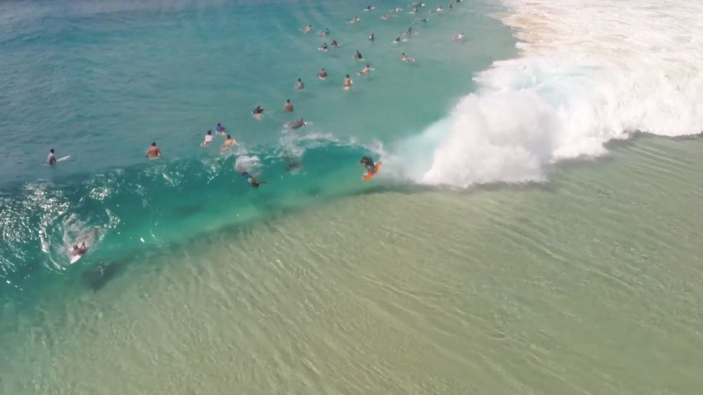 Surfing - Topic - ABC News