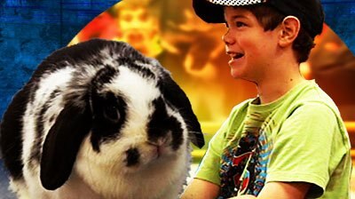 Rabbit Race - Behind The News