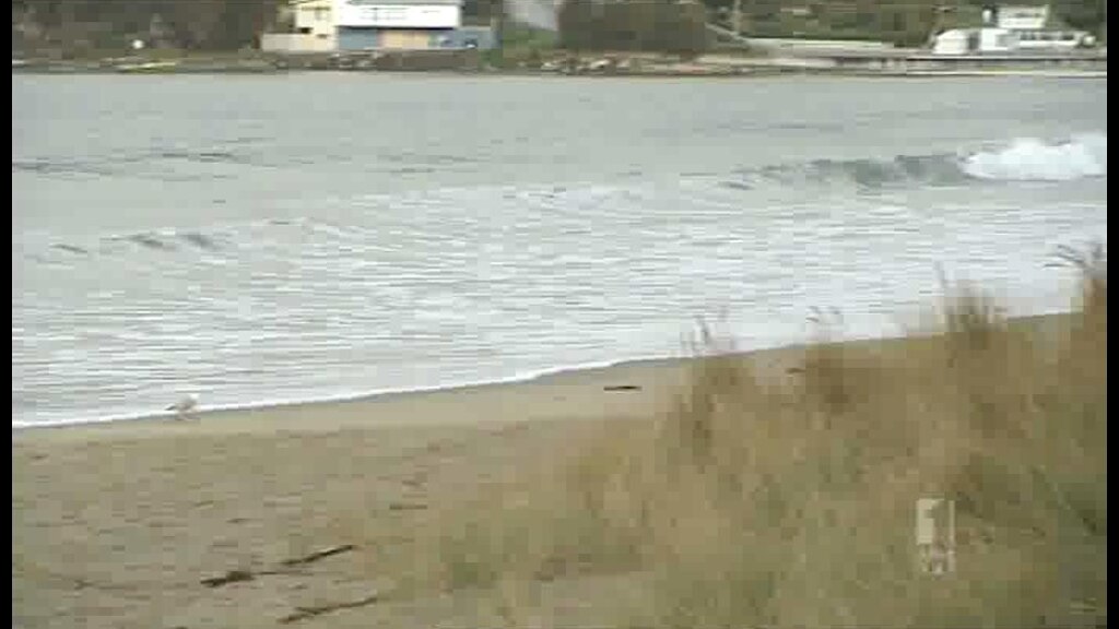 Scientists project impact of tsunamis - ABC News