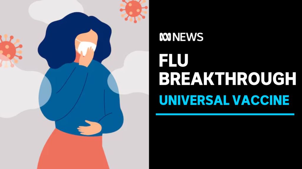 Scientists a step closer in their search for a universal flu vaccine ...