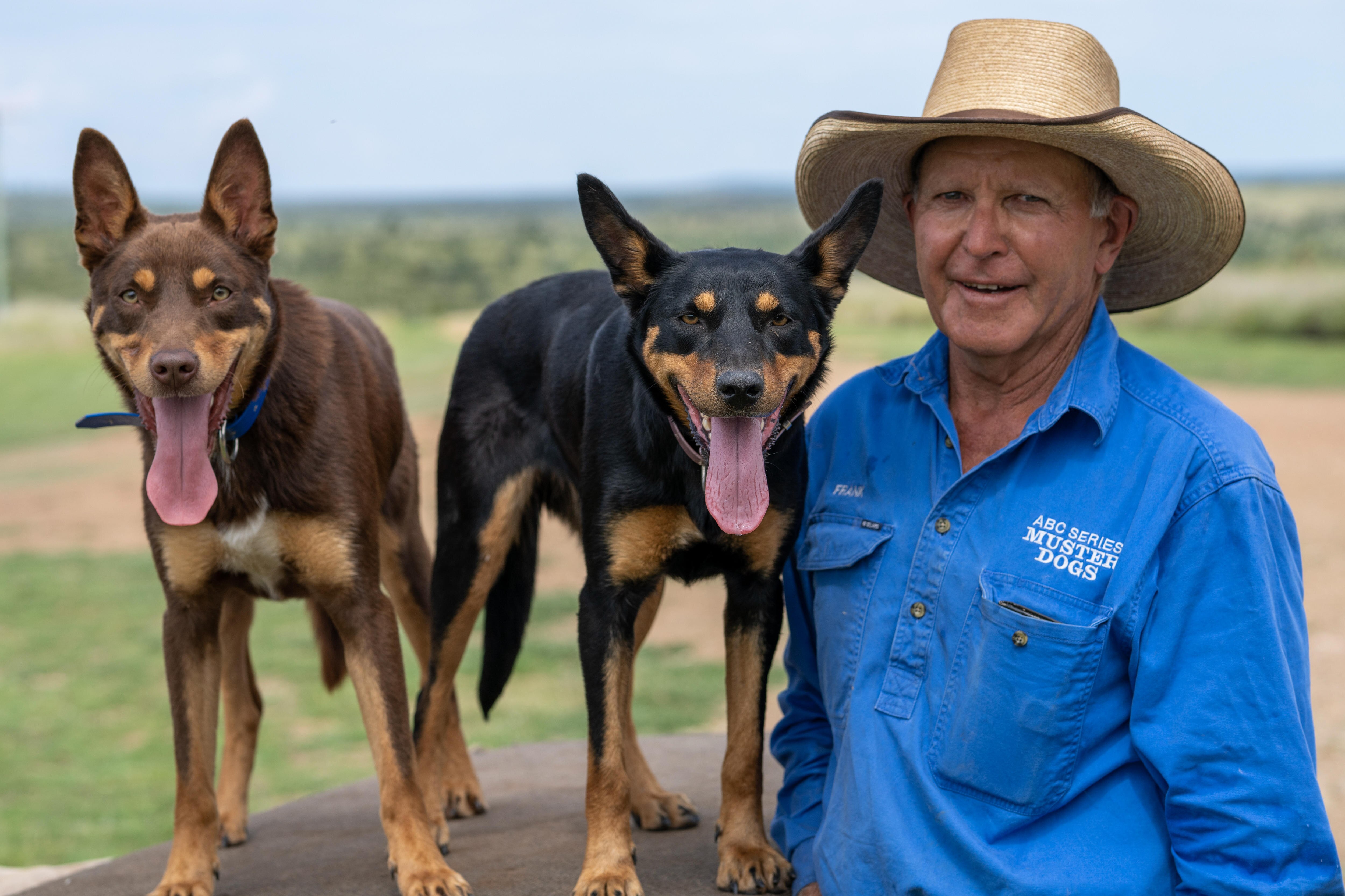 Muster Dogs stars catch us up on life since the series - ABC News