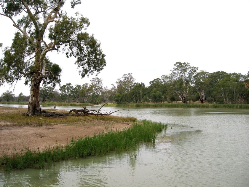 RDA support for diversification funding allocations, but competition ...