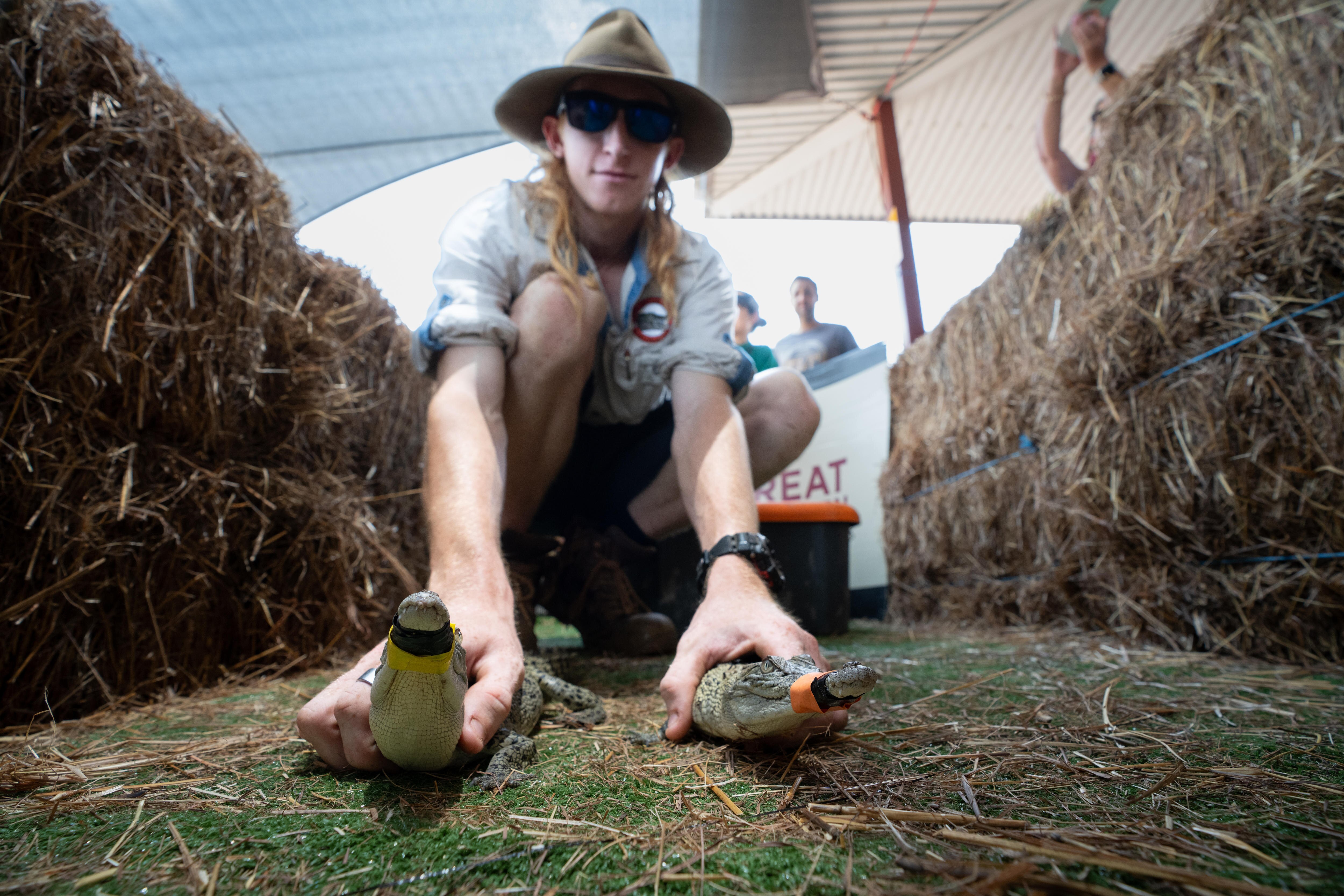 Northern Territory tavern holds annual crocodile race on Melbourne Cup ...
