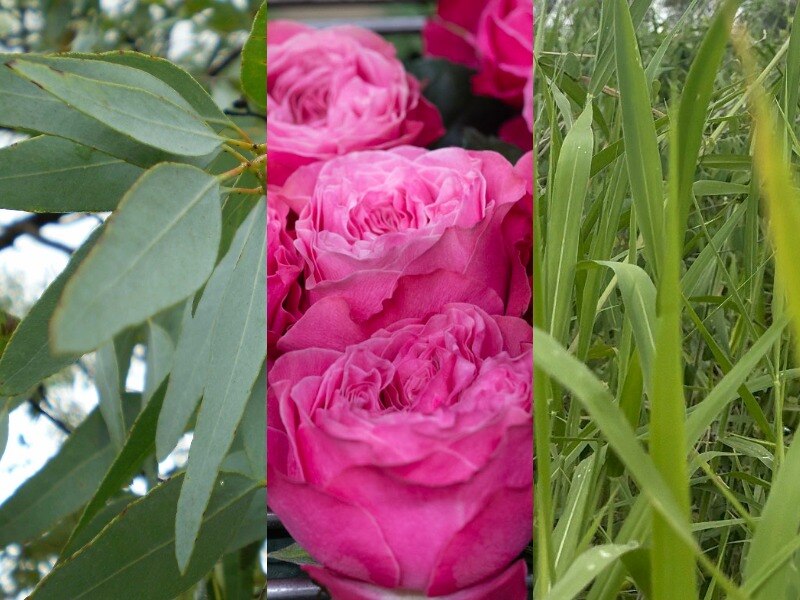 SA Weekends with Deb Tribe - ABC listen