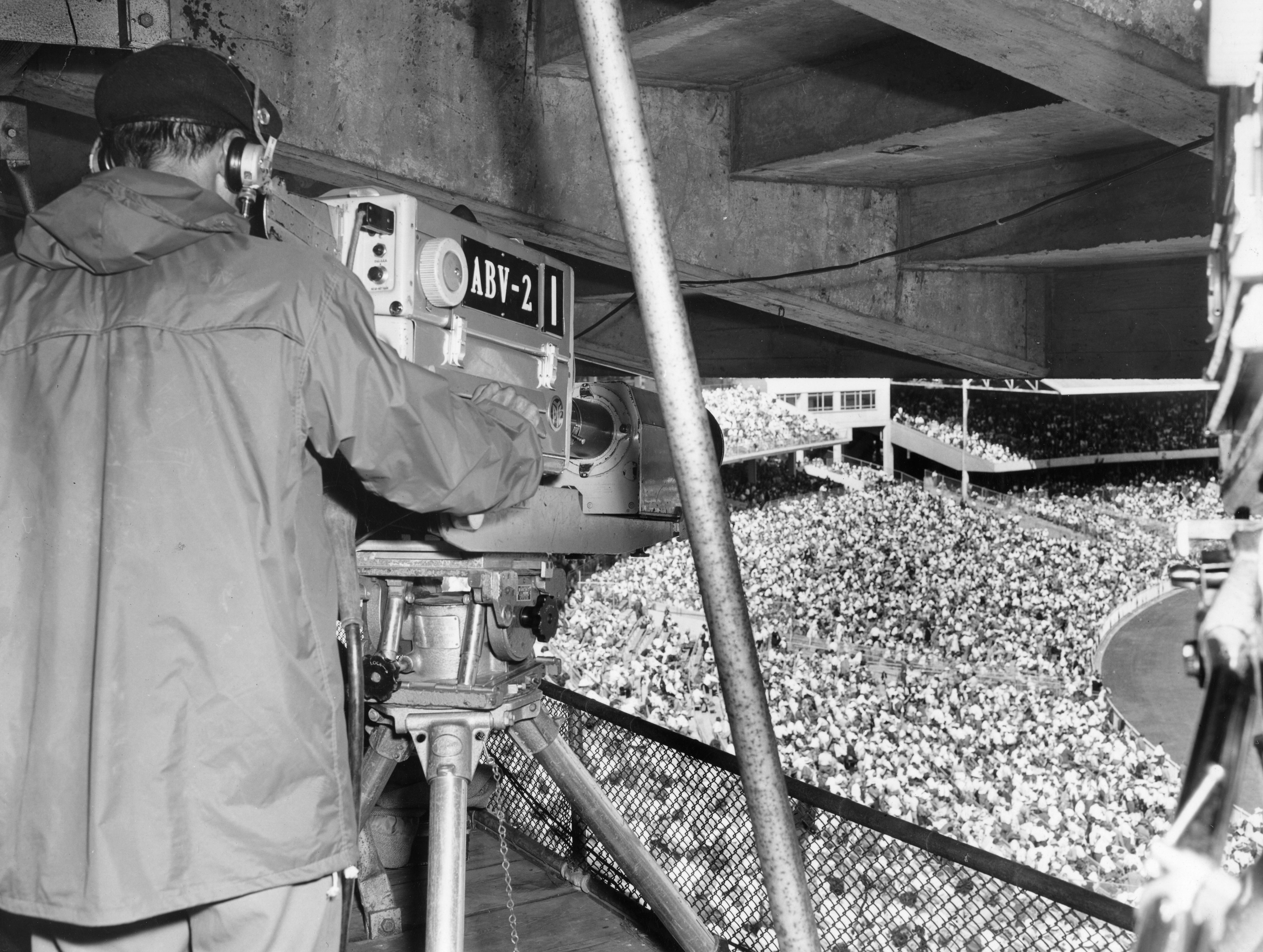 Everlasting Summer 02 | Synthetic cricket - ABC listen