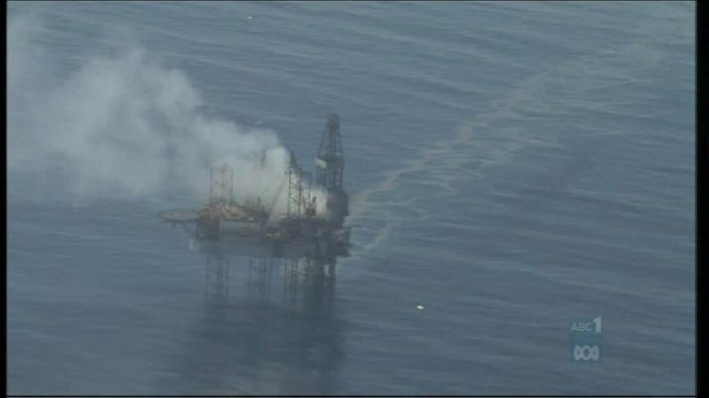 Timor oil spill killing birds - ABC News