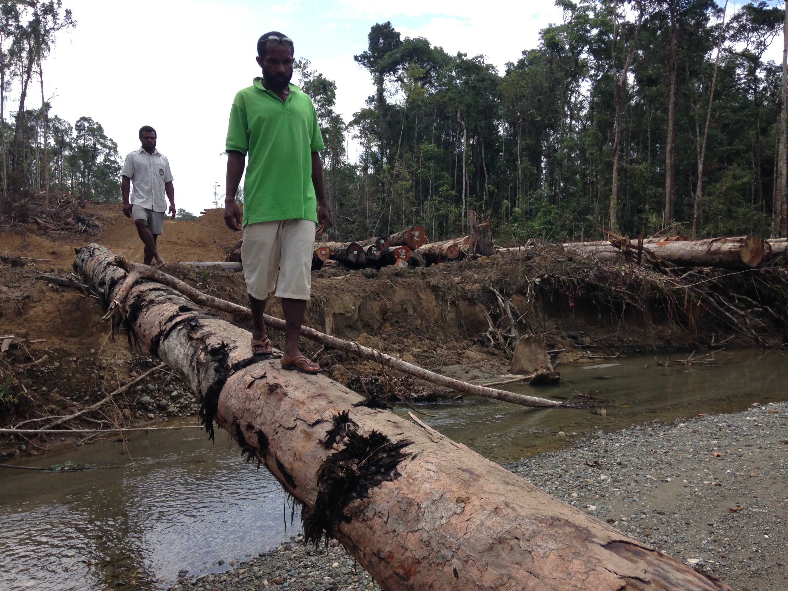 Papua New Guinea pledges to end deforestation by 2030 - ABC Pacific