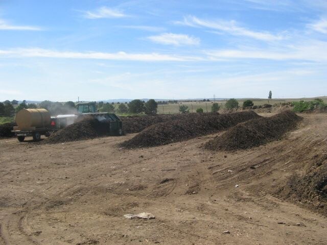 New trial pits compost against African lovegrass weed - ABC News