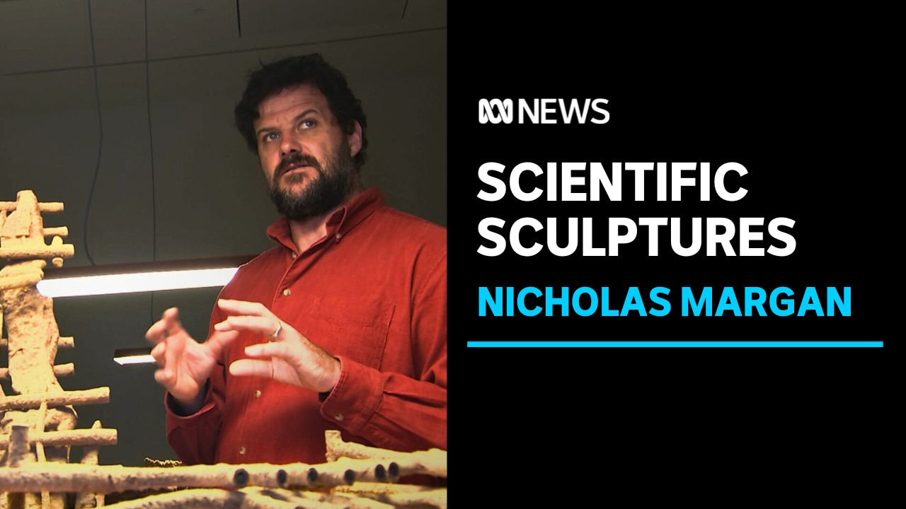 Artist takes inspiration from CSIRO studies - ABC News