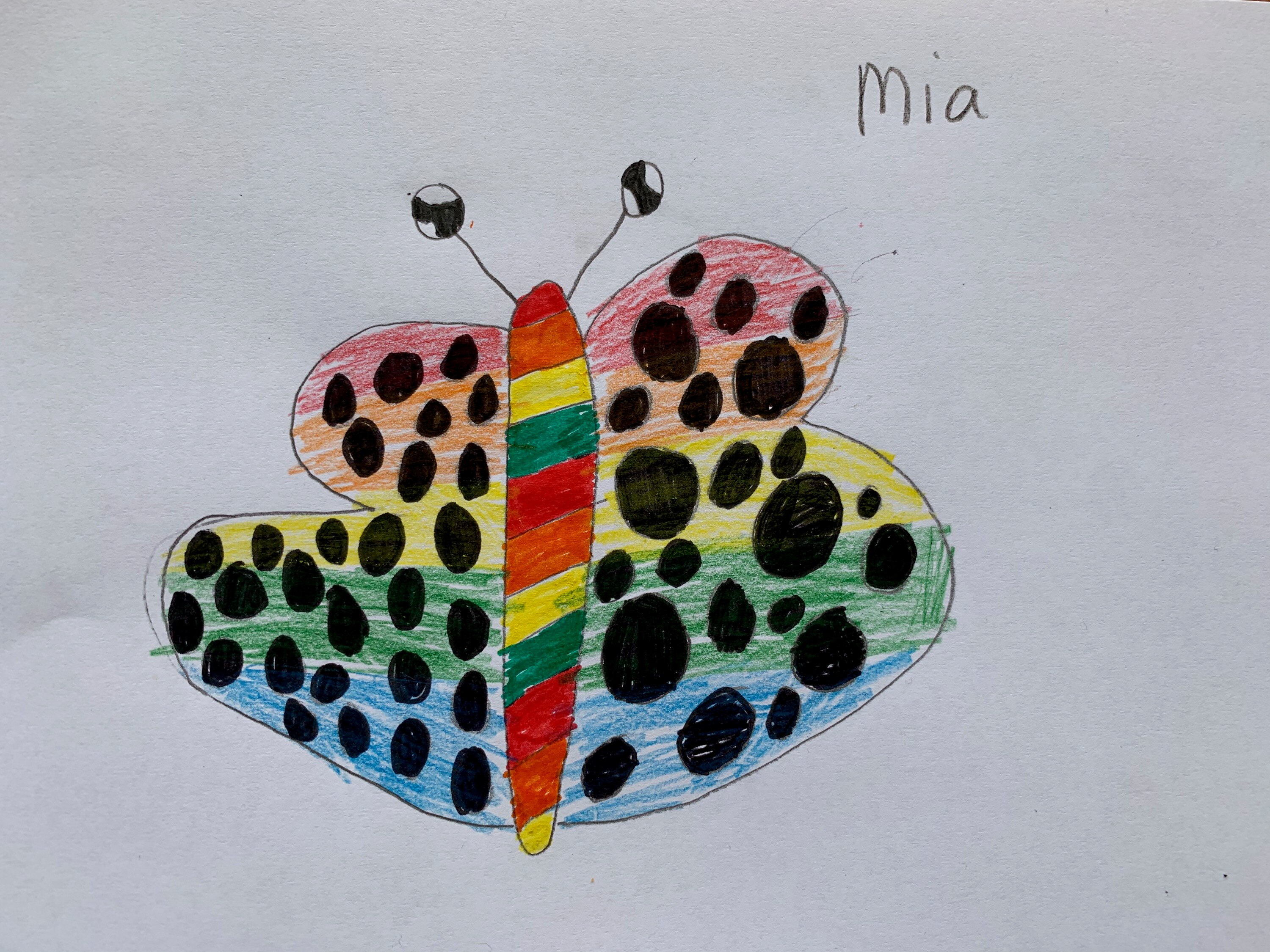 Did you know butterflies have taste buds on their toes and there's one ...