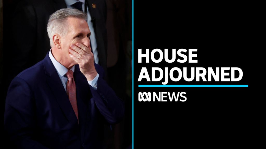 Footage shows the python swallowing a wallaby in far north Queensland ...