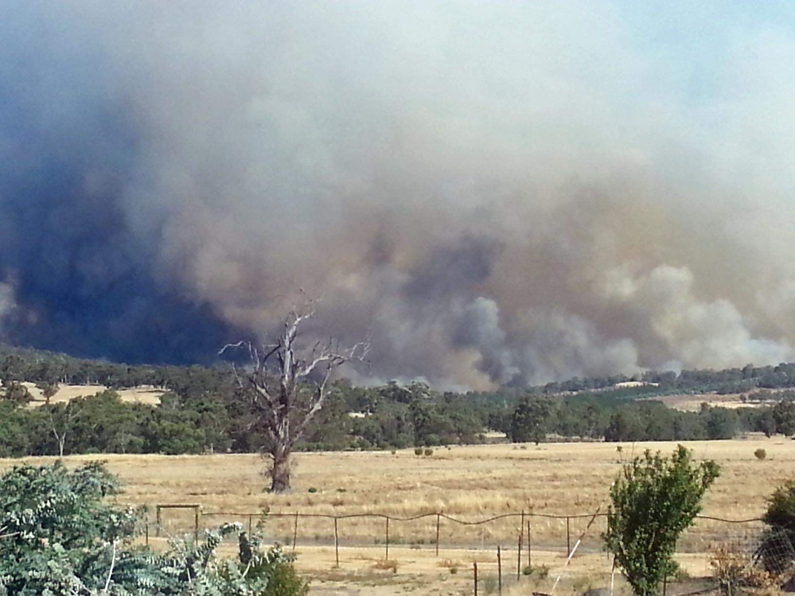 Firefighters contain blaze near Boddington - ABC News
