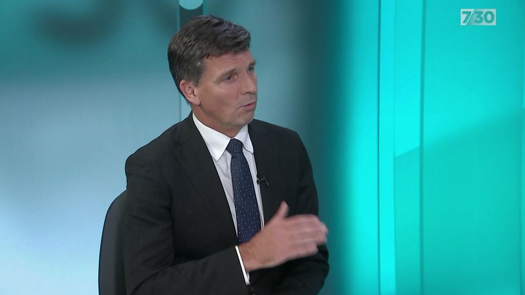 Angus Taylor says Coalition will support energy relief measures - ABC News