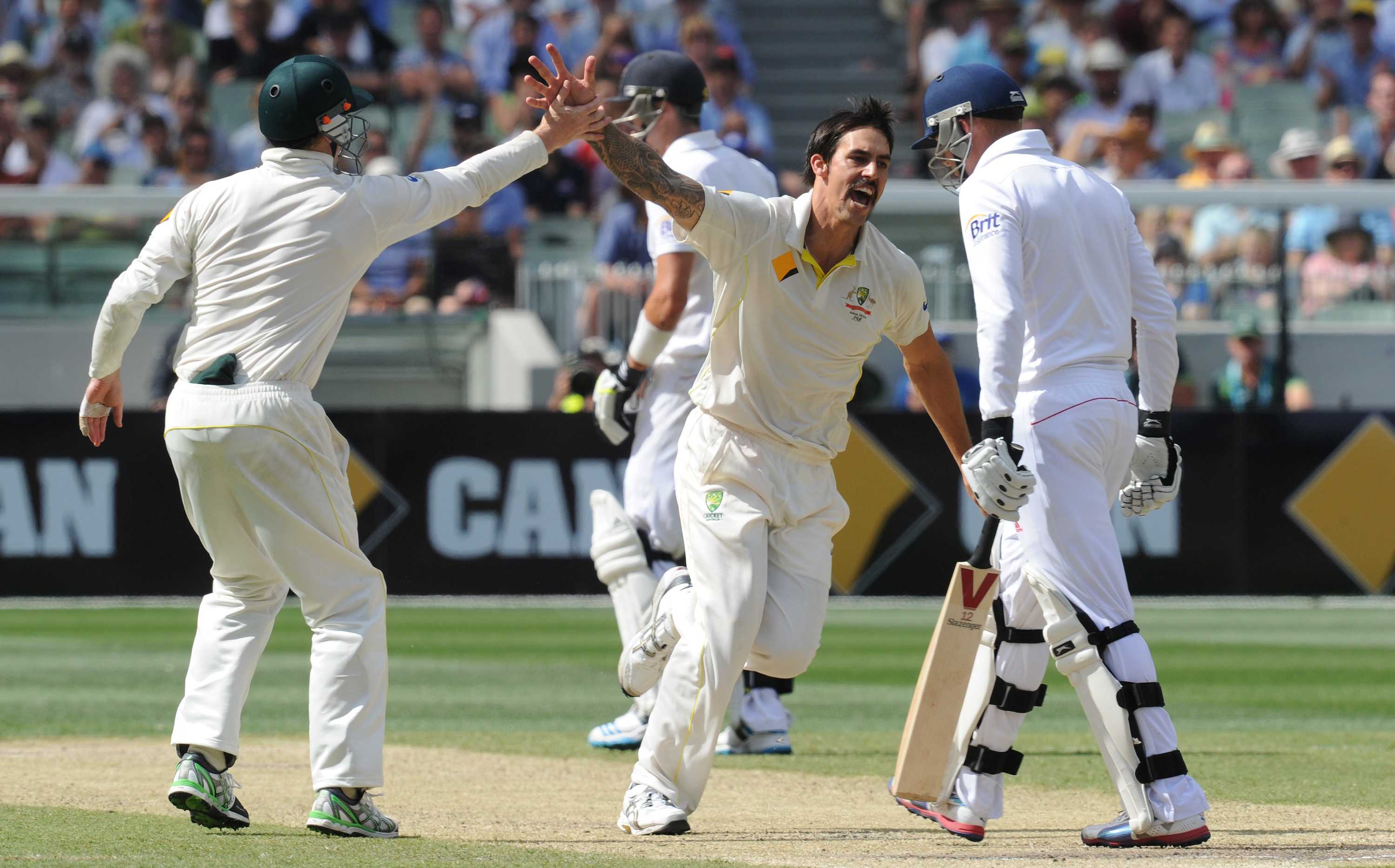 Ashes: every which way to lose - ABC News