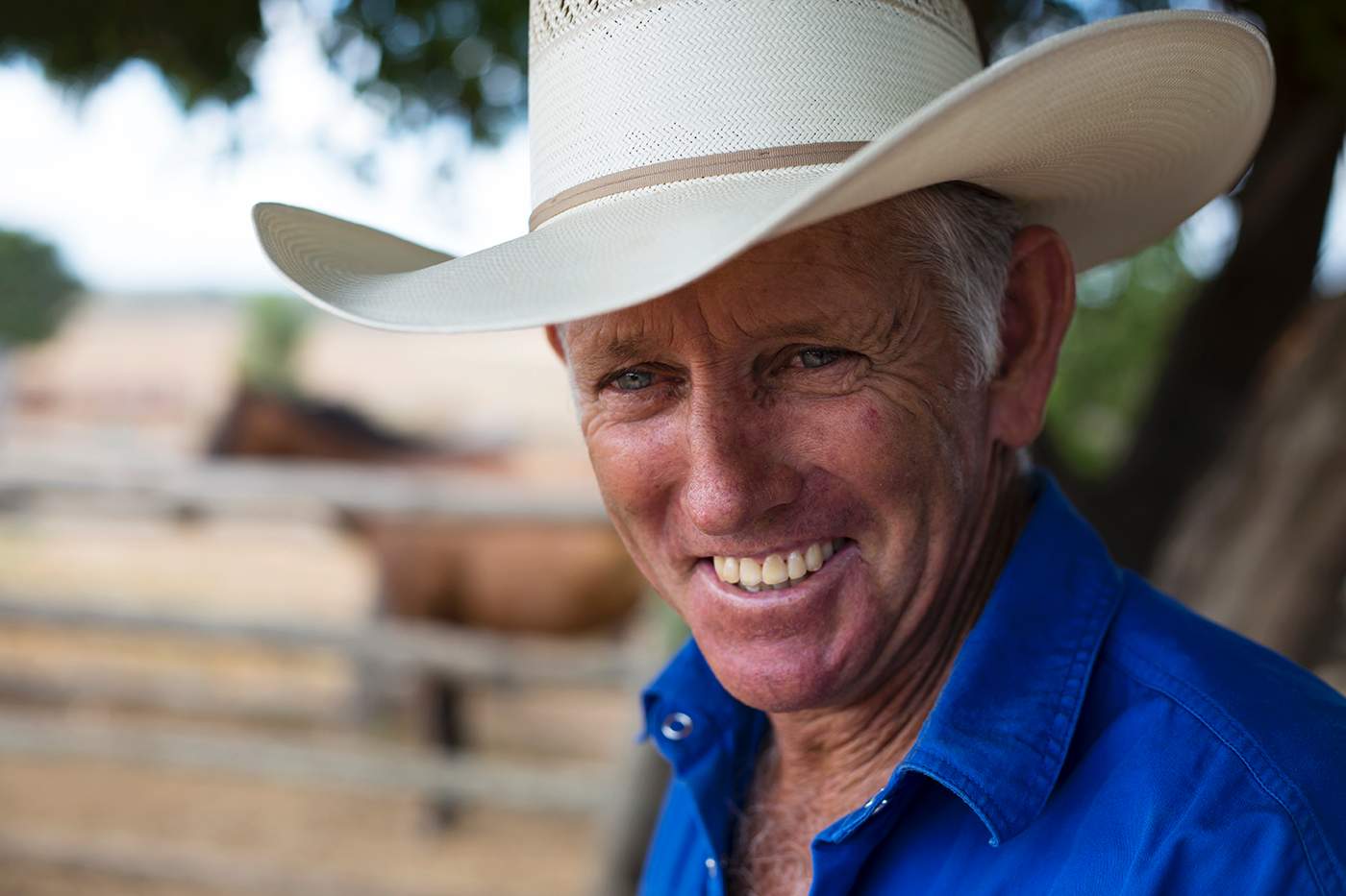 Rick Hopkins competes at a campdraft - ABC News