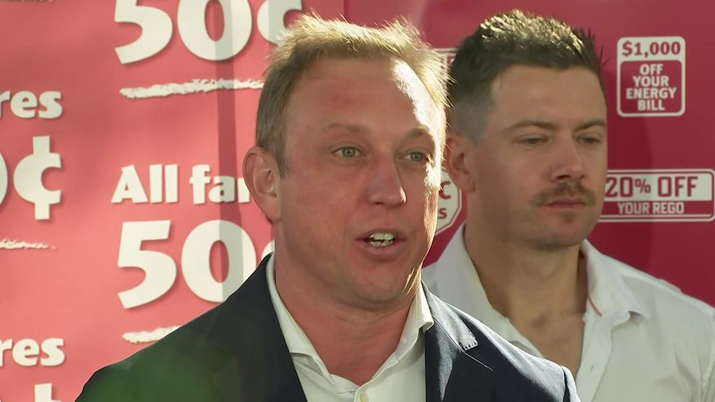 Steven Miles responds to LNP's youth crime proposal - ABC News