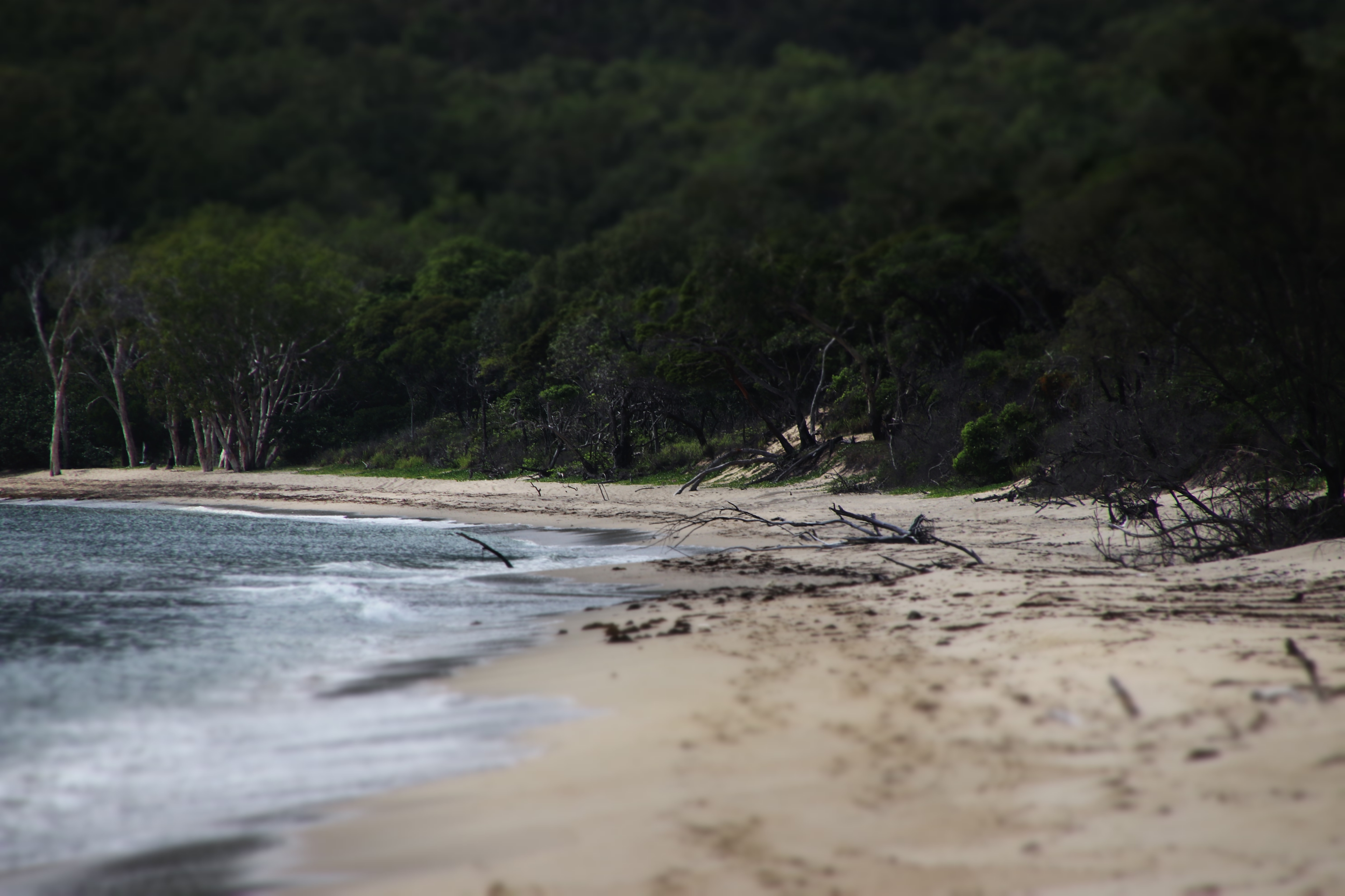 Jury in trial of Rajwinder Singh, charged with murder of Toyah ...