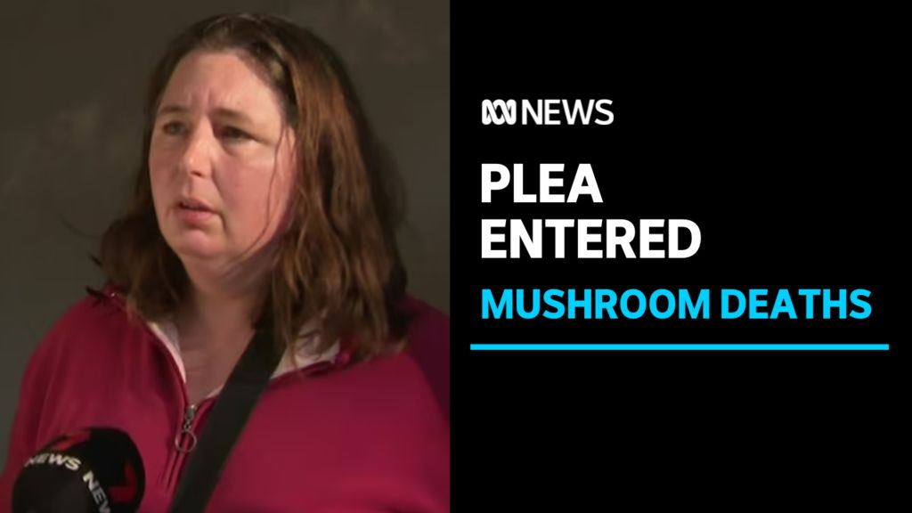 Erin Patterson pleads not guilty over alleged mushroom murders - ABC News