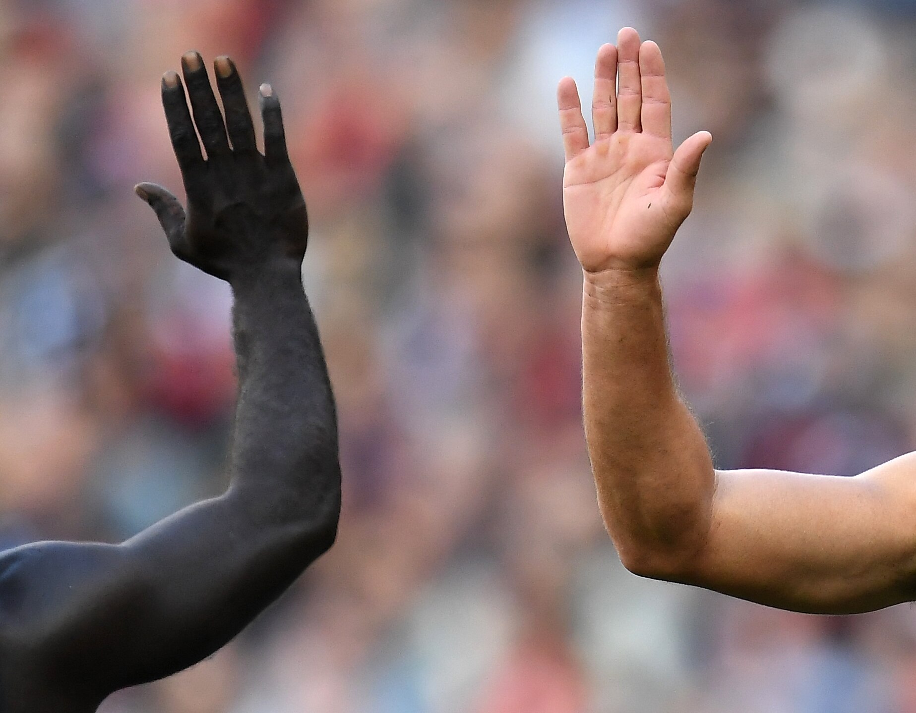 Australia's de facto online betting regulator accused of being too ...