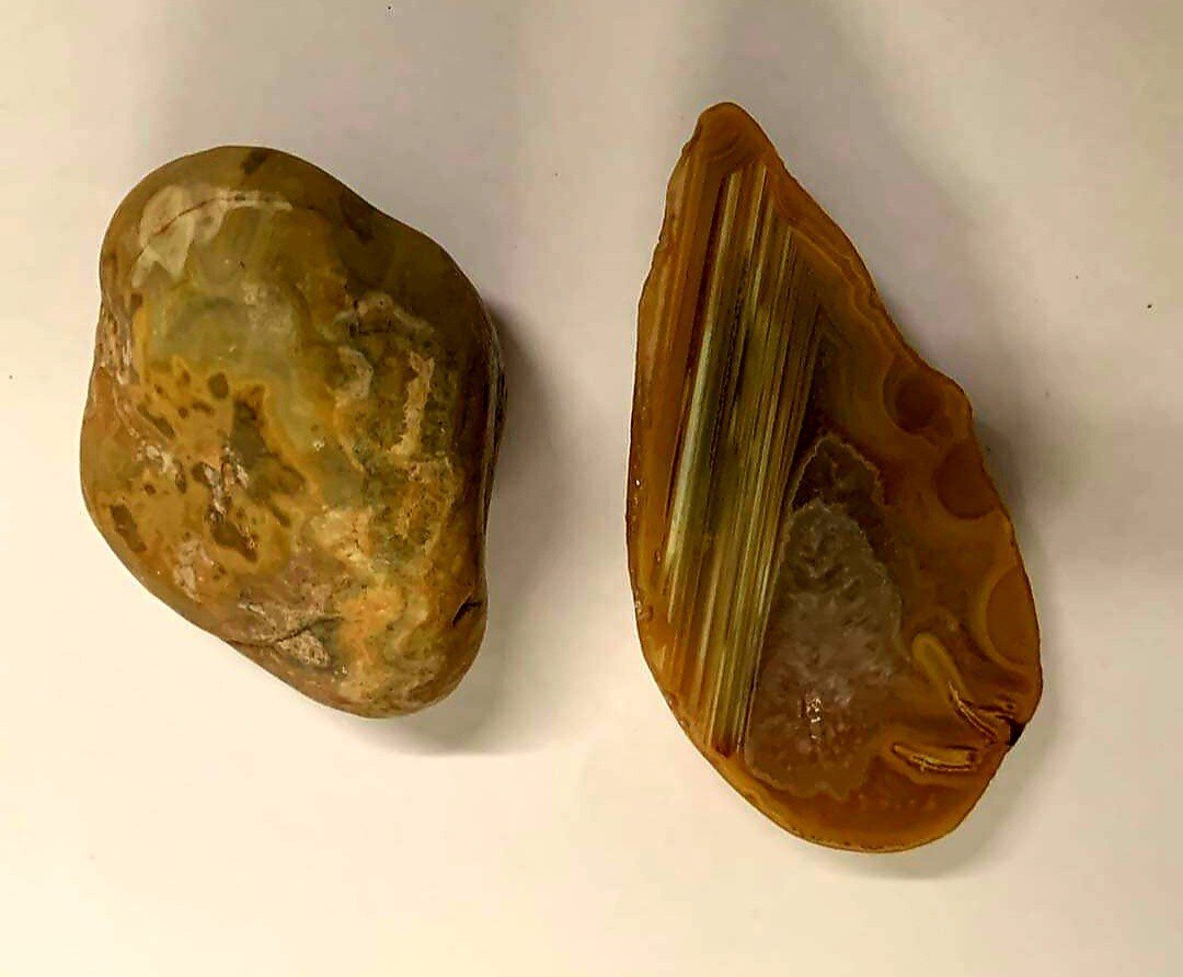 Victorian fossickers encouraged to keep searching for 'underrated' semi ...