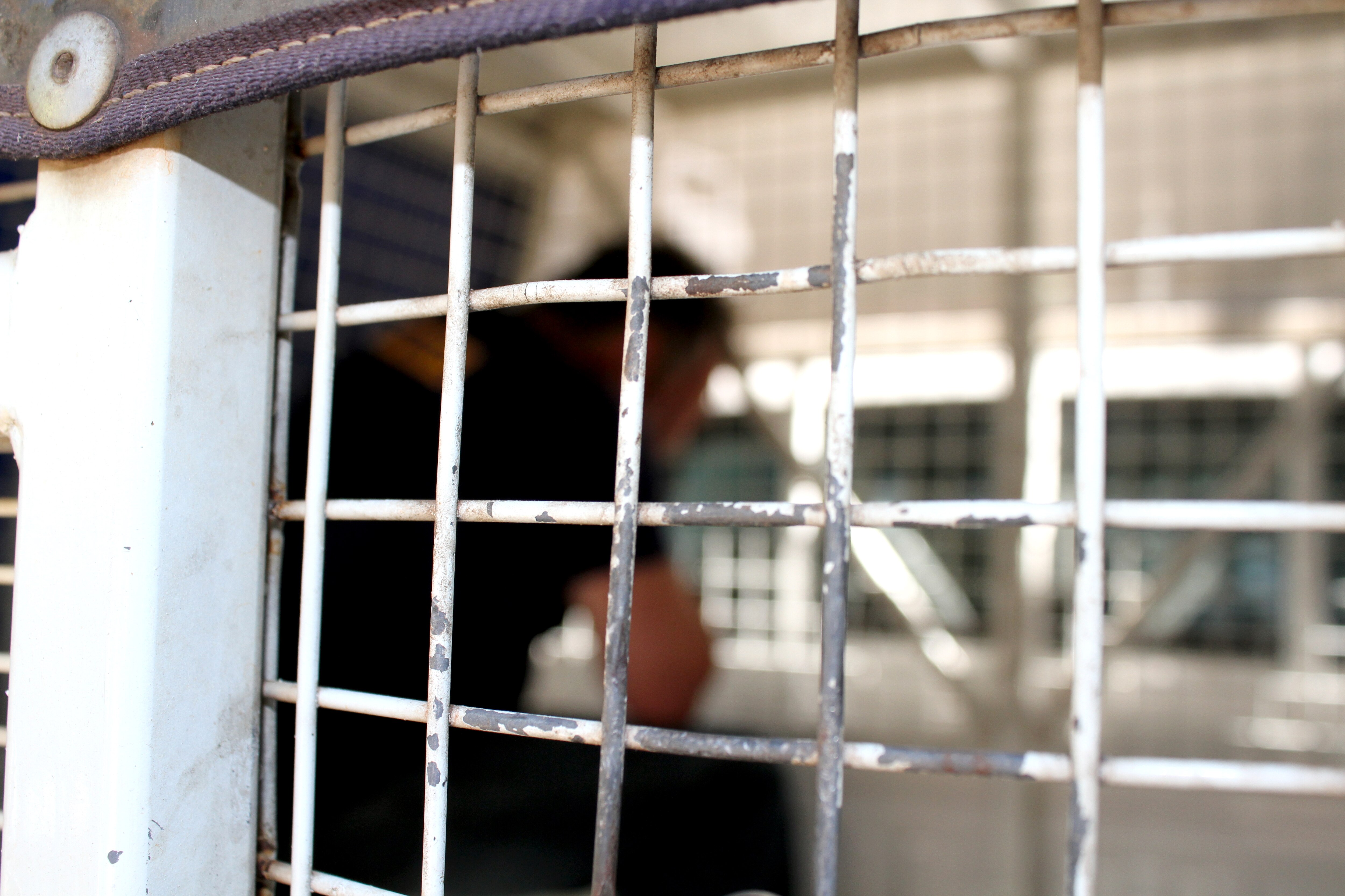 Murder suspect awaits extradition to NSW - ABC News