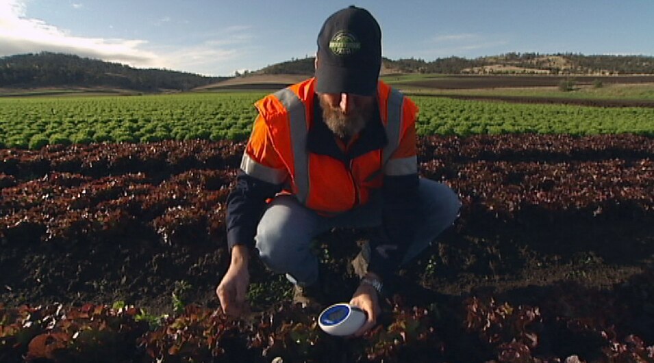 Farming from the phone: New technology lets farmers monitor their land ...