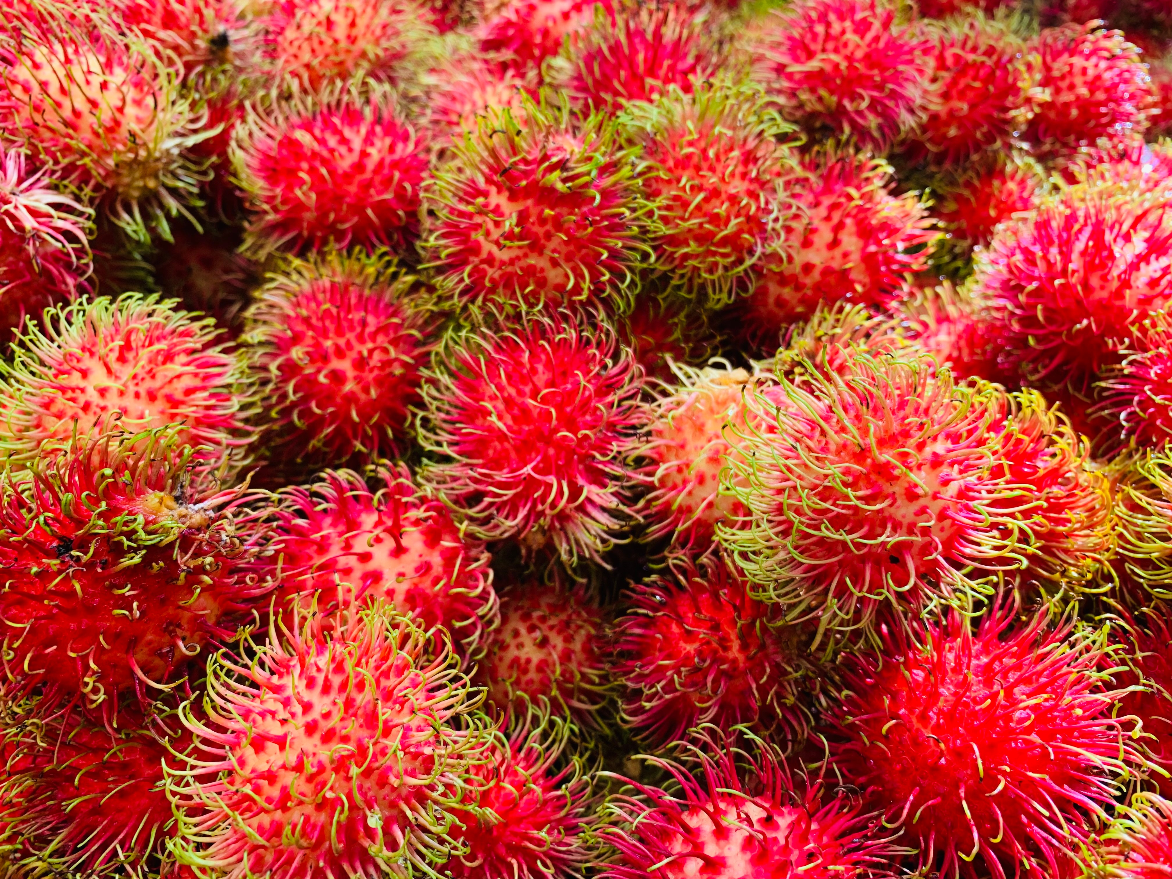 Countrywide - ABC listen